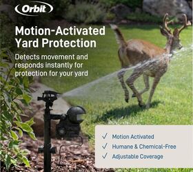 8 Tools That Keep Deer, Rabbits, and Squirrels Out of Your Garden | Golden.